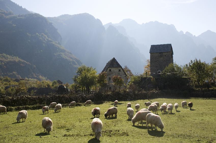 Find Peshkopi, Albania Hotels- Downtown Hotels in Peshkopi | TravelAge West