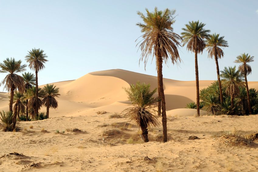 Find Taghit, Algeria Hotels- Downtown Hotels in Taghit | TravelAge West