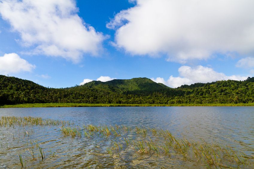 Deluxe Grand Etang Forest Reserve, Grenada Hotels- Downtown Hotels in ...