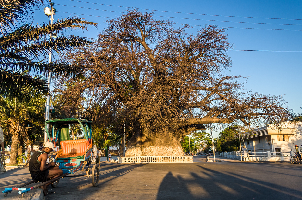 Find Mahajanga, Madagascar Hotels- Downtown Hotels in Mahajanga ...