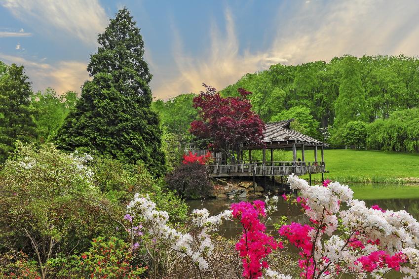 Find Wheaton, MD Hotels- Downtown Hotels in Wheaton | TravelAge West